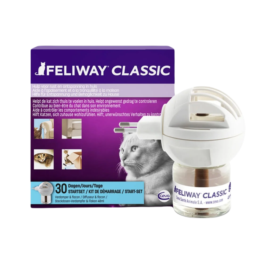 ทำความรู้จักฟีโรโมนแมว คืออะไร? ลดเครียดได้จริงหรอ?